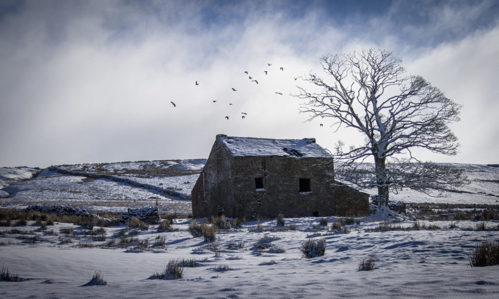 It’s been a while… – Icemark